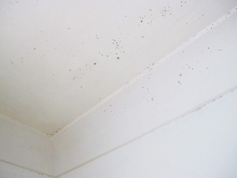 How to get rid of mould on ceilings.